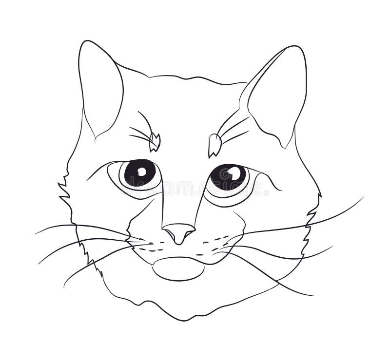 Retrato Del Gato, Líneas, Vector, Ilustración del Vector - Ilustración ...