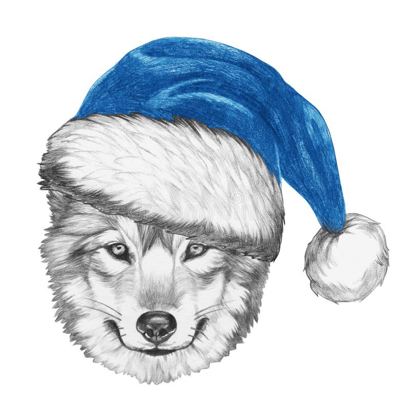 Retrato Do Lobo Com Santa Hat Ilustração Stock - Ilustração de santa ...