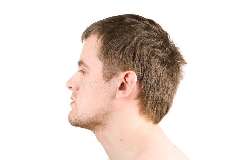 Retrato do perfil do homem imagem de stock. Imagem de adulto - 8854783