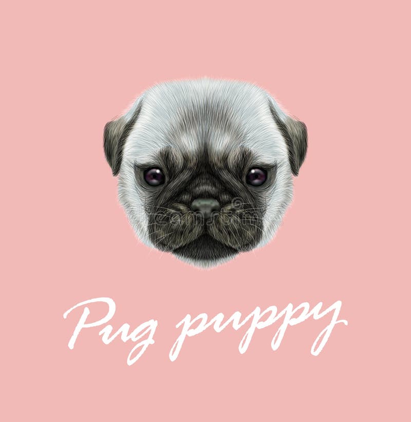 Retrato Ilustrado Vector Del Perrito Del Barro Amasado Ilustración del ...