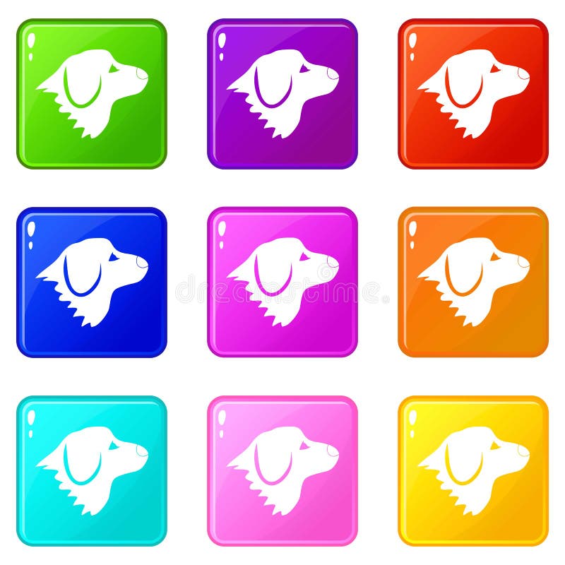 Retriever dog icons 9 set stock vector. Illustration of concept - 96084824
