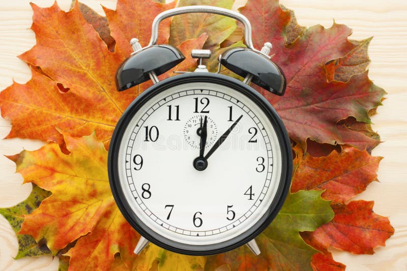 Retro Alarm Clock on Autumn Leaves. Stock Image - Image of seconds ...