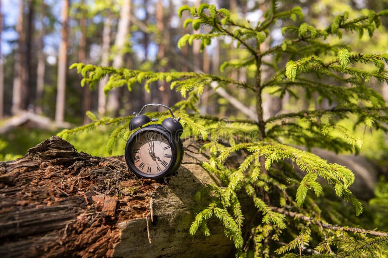 Retro Alarm Clock in Green Forest. Abstract Photo of Time Stock Photo ...