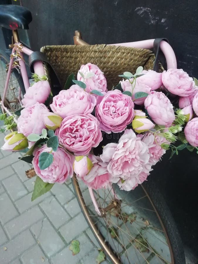 Retro Bike with a Basket of Roses on the Handlebars Stock Image - Image ...