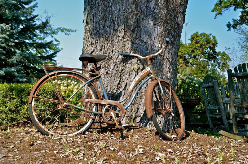 Retro Bike Leaning Against Tree Stock Photo - Image of vintage, pedal ...
