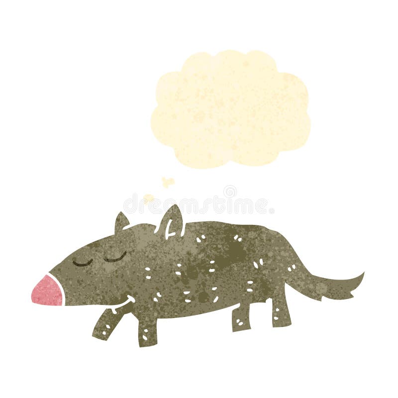 Retro Cartoon Wombat with Thought Bubble Stock Vector - Illustration of ...