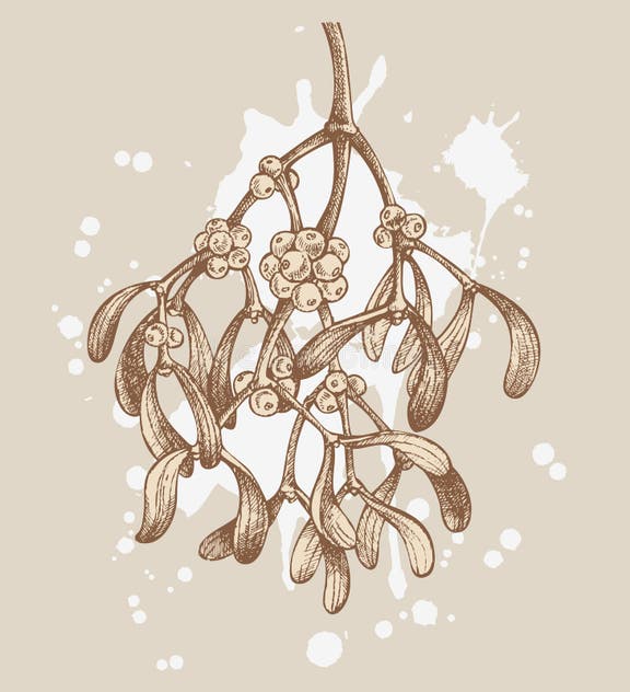 Retro christmas mistletoe stock vector. Illustration of etching - 20906366