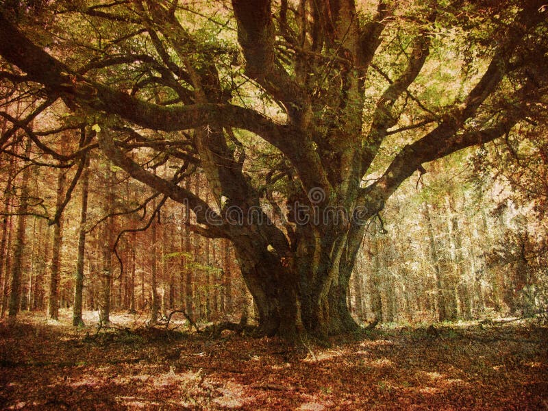 Retro forest - Stock Image - Everypixel