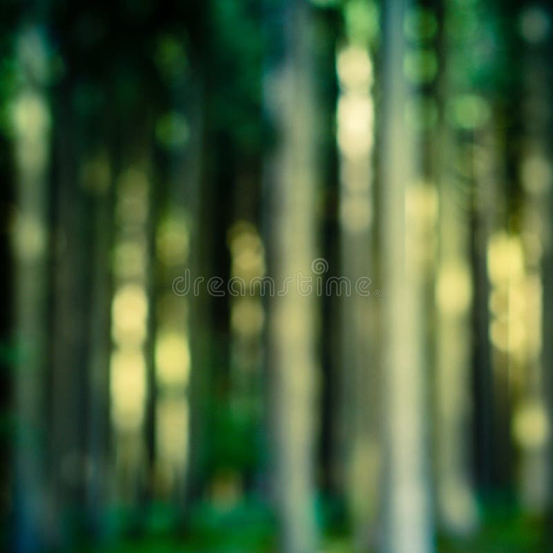 Forest Trees, Green Background. Stock Photo - Image of hornbeam, pine ...