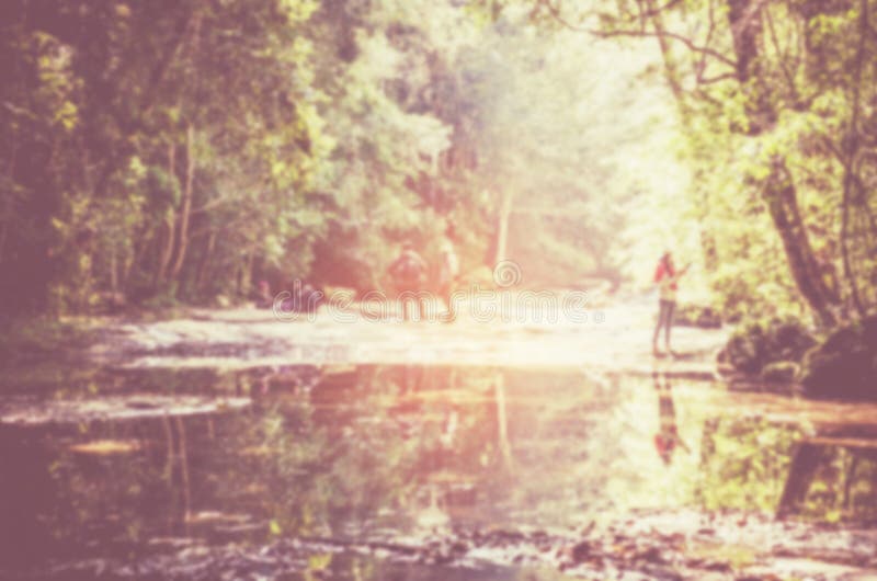 Retro forest stock image. Image of area, ground, clouds - 60178165