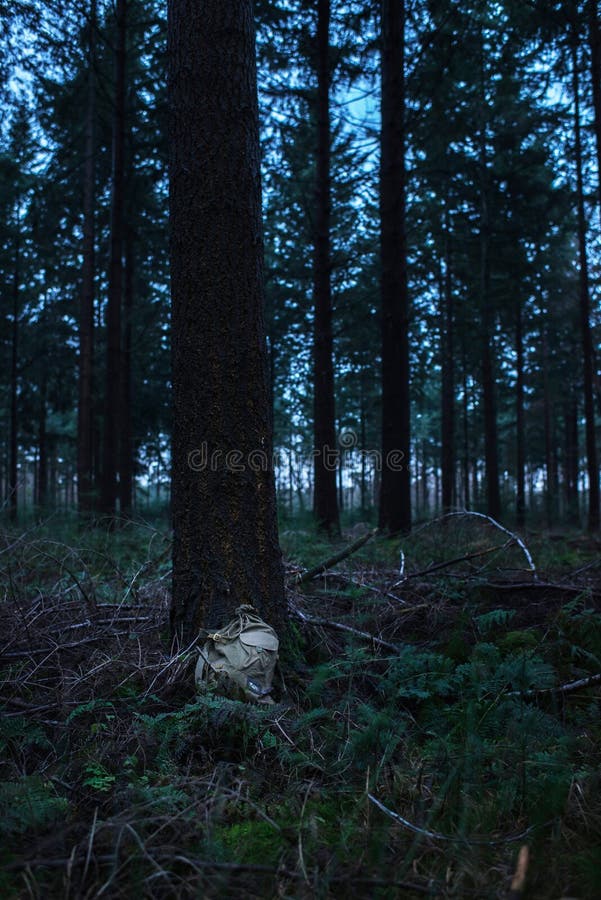 Retro Green Backpack Lost Against Tree in Dark Forest. Stock Photo ...