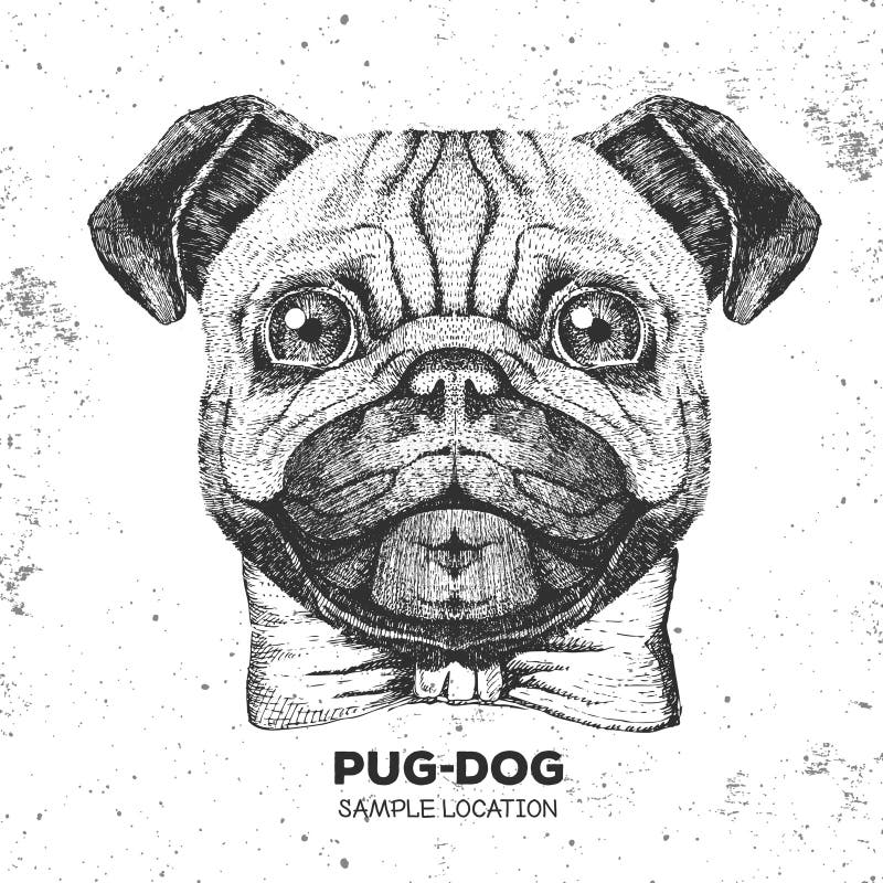 Retro Hipster Animal Pug-dog. Hand Drawing Muzzle of Pug-dog Stock ...