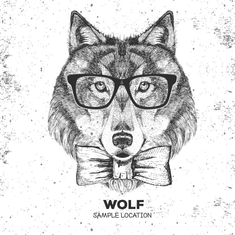 Wolf Muzzle Sketch Stock Illustrations – 522 Wolf Muzzle Sketch Stock ...