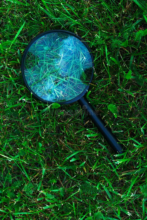 Closeup of Retro Magnifying Glass on the Grass Stock Image - Image of ...