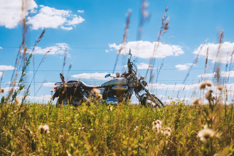 Retro Motorcycle in a Field among the Grass Stock Image - Image of bike ...