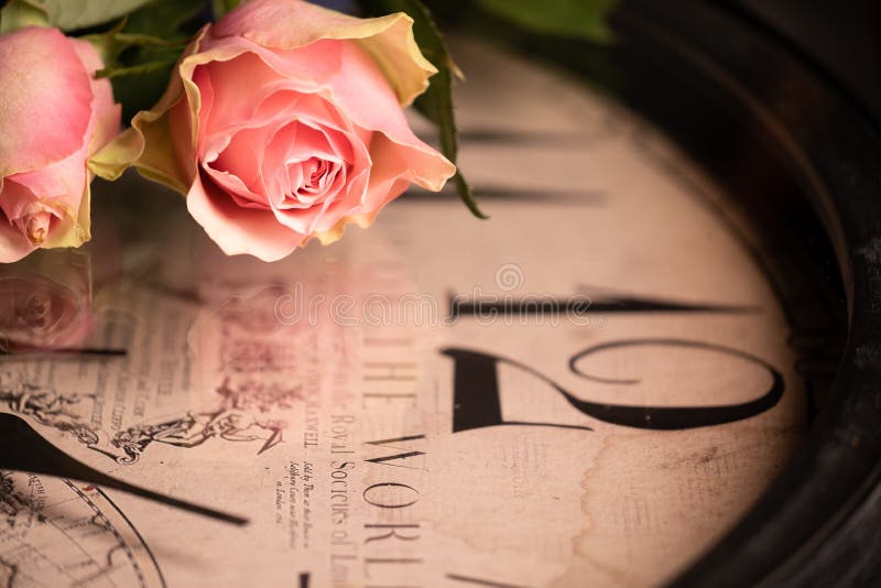 Retro Pink Rose on a Clock Face, Clock Hands Stock Photo - Image of ...