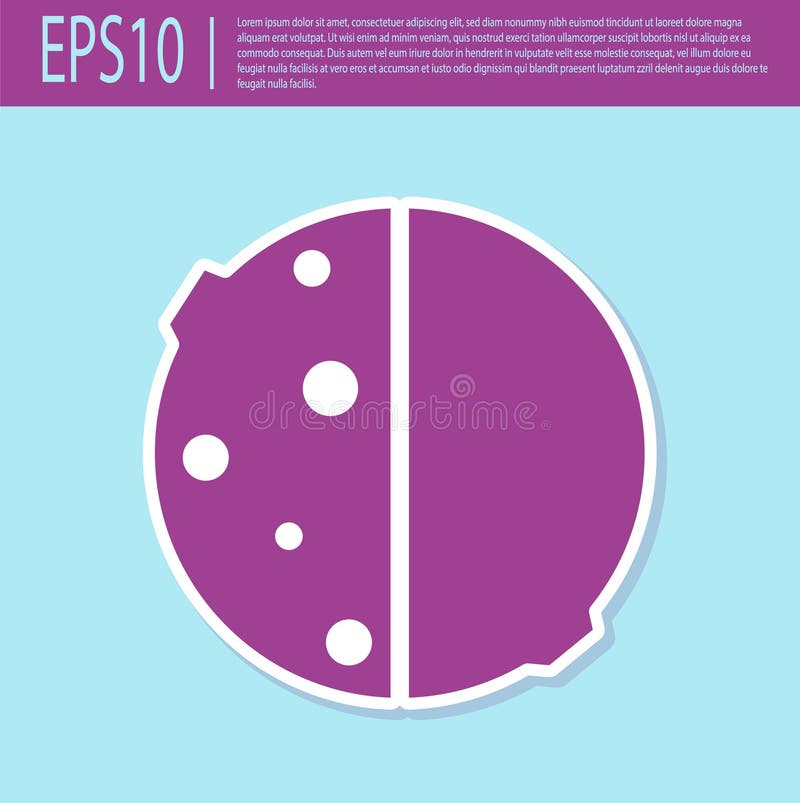 Sun Eclipse Purple Color Fire Dark Background Vector Moon Design Style ...