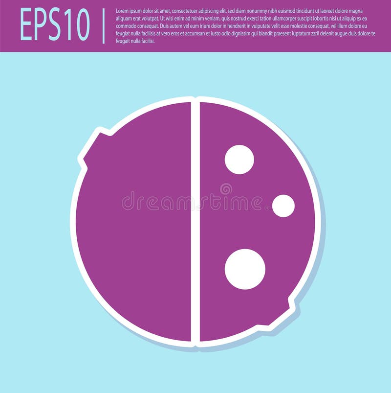 Sun Eclipse Purple Color Fire Dark Background Vector Moon Design Style ...