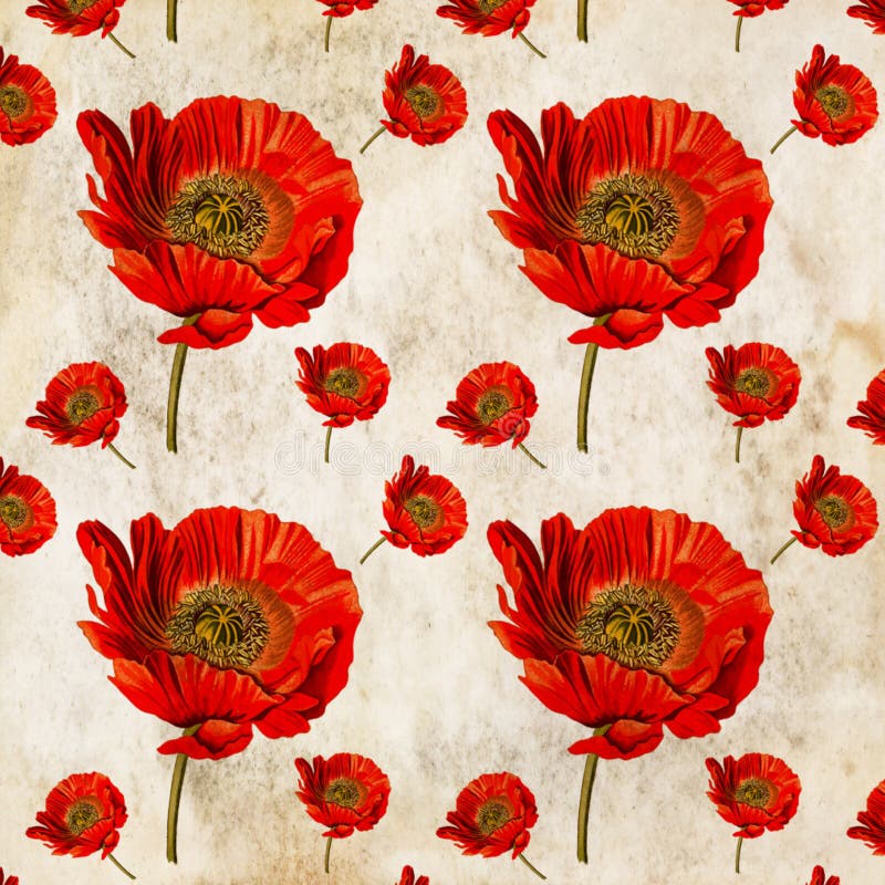 Retro Red Poppy Floral Pattern Stock Illustration - Illustration of ...