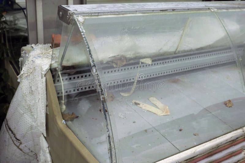 Empty food display stock photo. Image of empty, food - 222749612