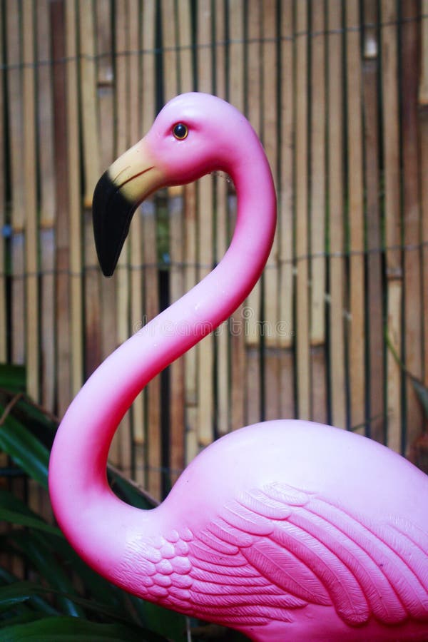 Retro roze flamingo stock afbeelding. Image of versiering - 41915003