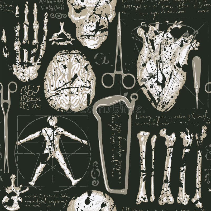 Retro Seamless Pattern with Human Bones and Organs Stock Vector ...