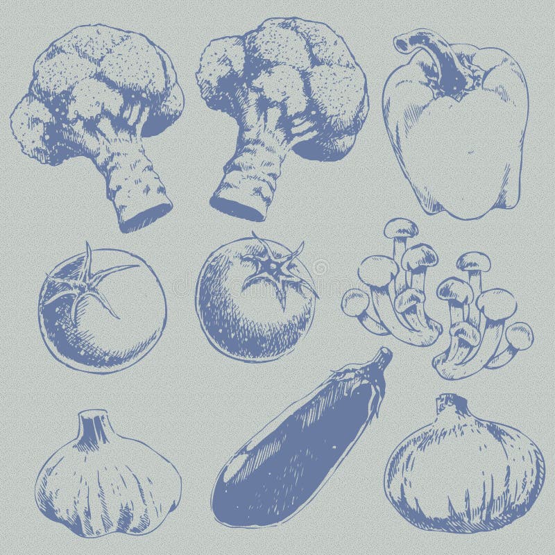 Retro Sketch Vegetables Pattern Stock Vector - Illustration of onion ...