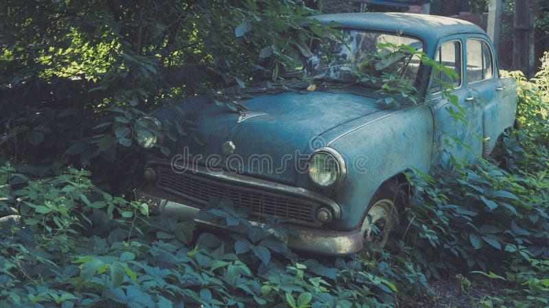 Retro Soviet Blue Car Overgrown with Grass. Classic Car Rusting in a ...