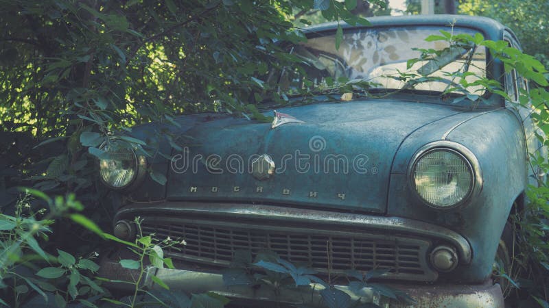 Retro Soviet Blue Car Overgrown with Grass. Classic Car Rusting in a ...