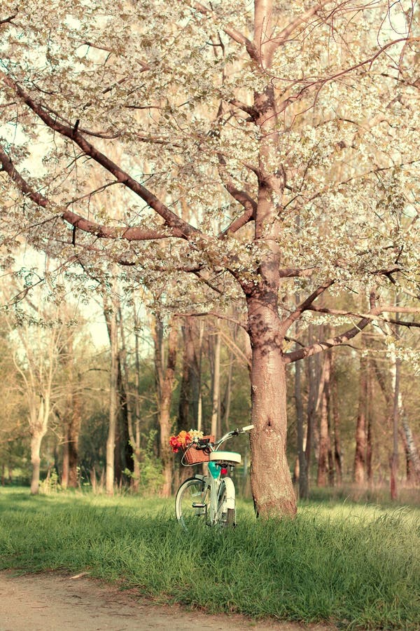 Retro Spring Landscape with a Bike Stock Image - Image of field, nature ...