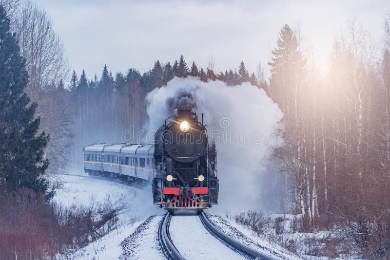 Retro Steam Train Moves in the Forest Stock Photo - Image of passenger ...