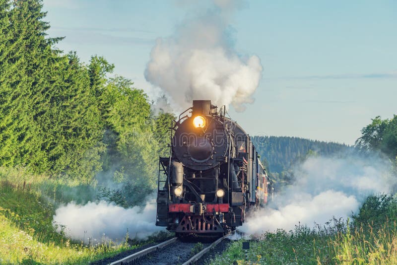Retro Steam Train Moves in the Forest Stock Photo - Image of railway ...