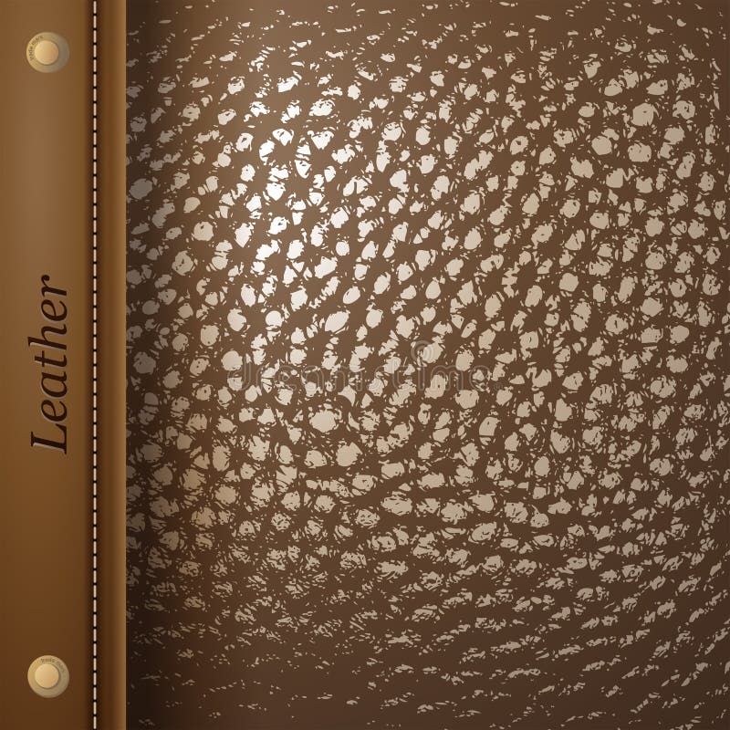 Leather Hide Backgrounds Stock Illustrations – 179 Leather Hide ...