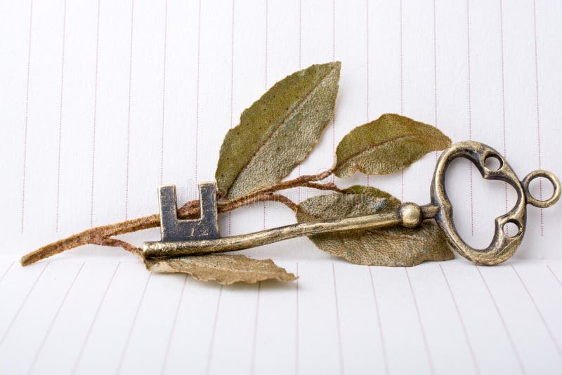 Retro Styled Golden Color Keys Stock Photo - Image of protection, hold ...