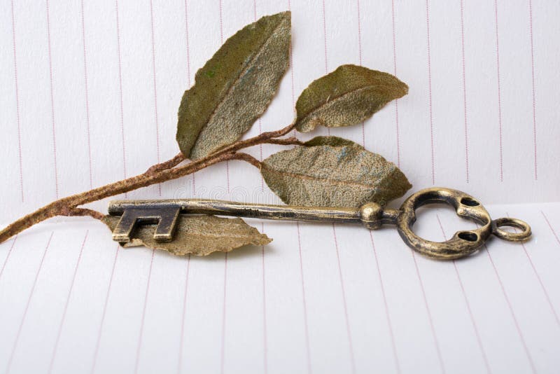 Retro Styled Golden Color Keys Stock Photo - Image of golden, keys ...