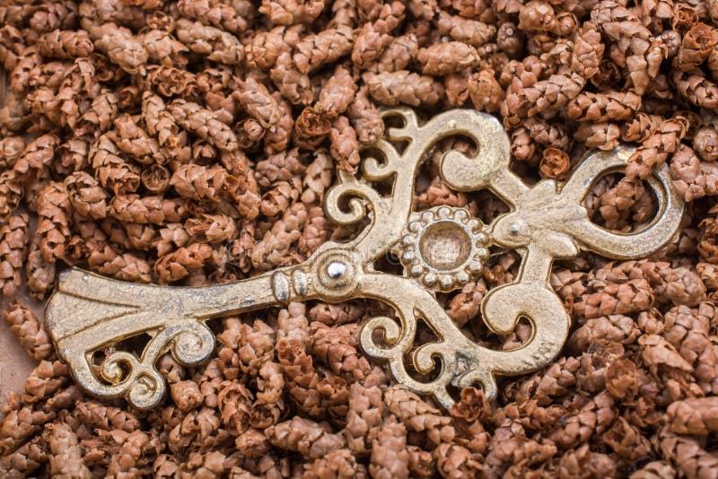 Retro Styled Golden Color Keys Stock Image - Image of jkey, house: 94989801