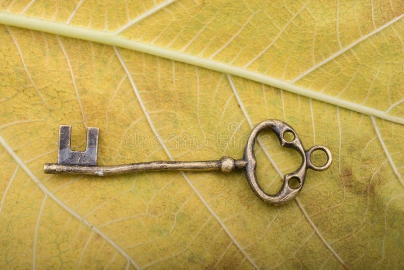 Retro Styled Key Decorative Key Stock Image - Image of door, steel ...
