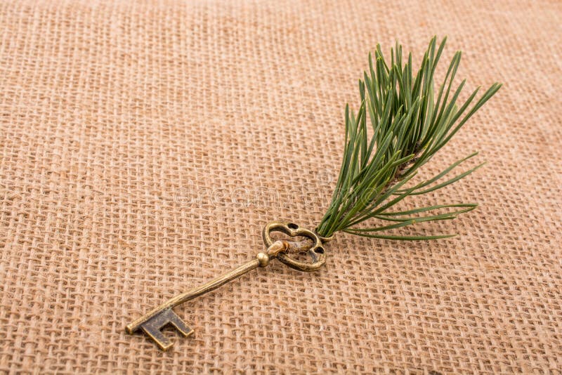 Retro Styled Key with Leaves Stock Image - Image of object, unlock ...