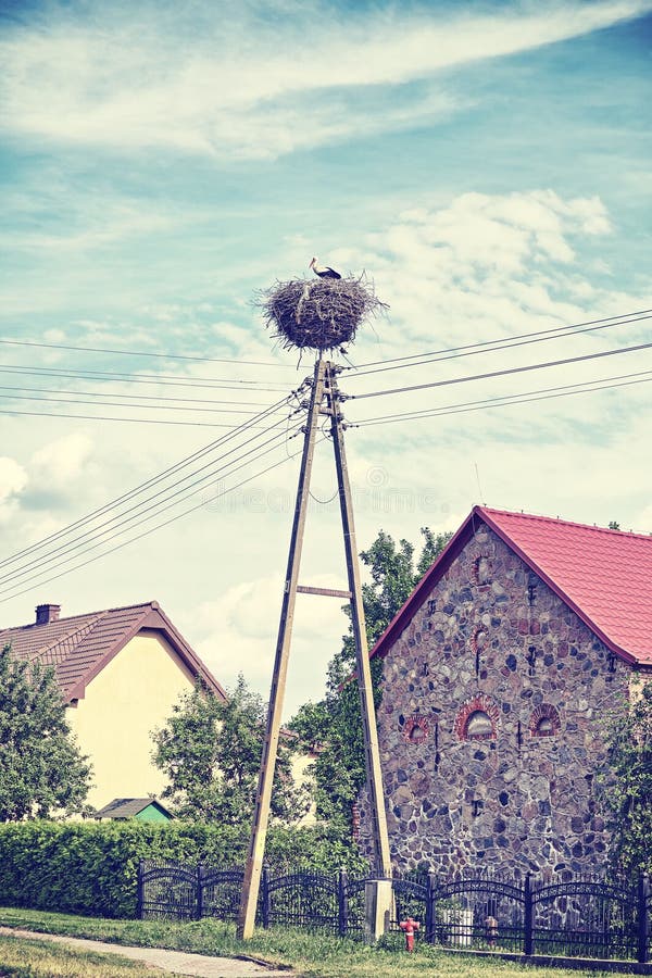 Retro Stylized Stork Nest in a Village. Stock Image - Image of natural ...