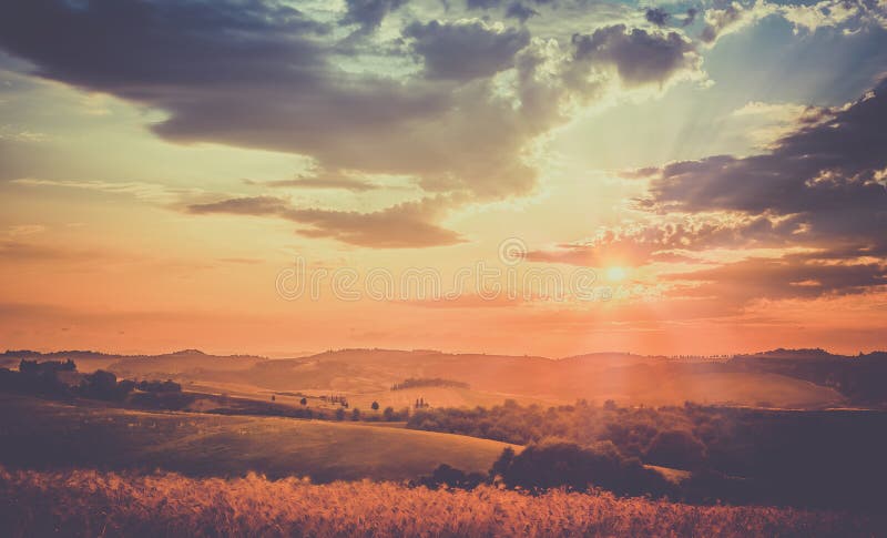 Retro Sunset Hawaii Palm Trees Stock Photo - Image of aged, relaxation ...