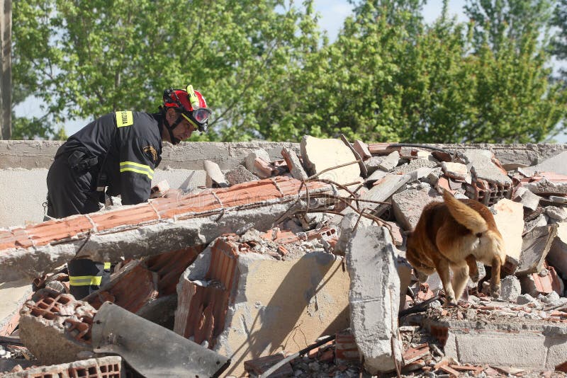Retter Mit Hund, Während Einer Schulungsübung Redaktionelles ...