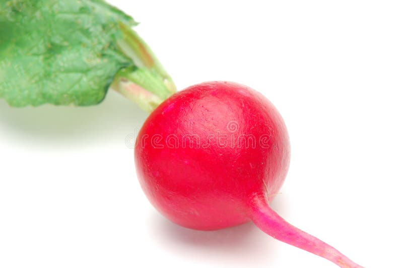 Rettich stockfoto. Bild von bestandteil, blatt, betrieb - 14717432
