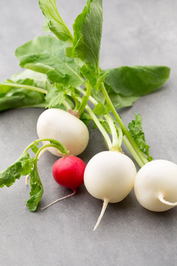 Rettich Frisch Auf Dem Grauen Hintergrund Stockfoto - Bild von betrieb ...