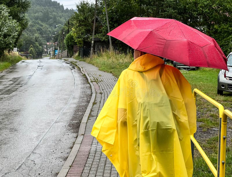 Returning from a Mountain Walk in the Rain Under a Cape and an Umbrella ...