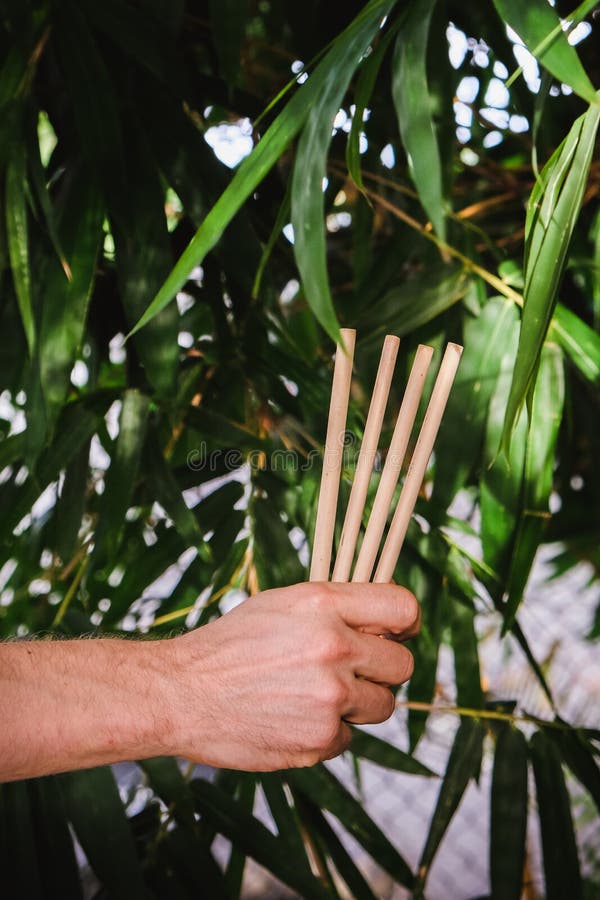 846 Bamboo Drinking Straw Stock Photos - Free & Royalty-Free Stock ...