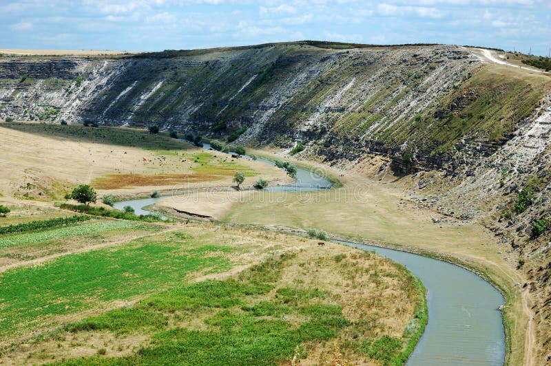 Reut stock photo. Image of bend, knoll, declivity, hillock - 7213324