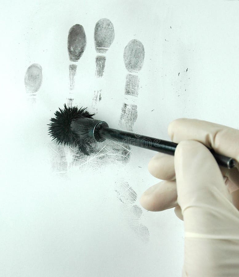 Fingerprint stock image. Image of crime, brush, fingerprint - 36694619