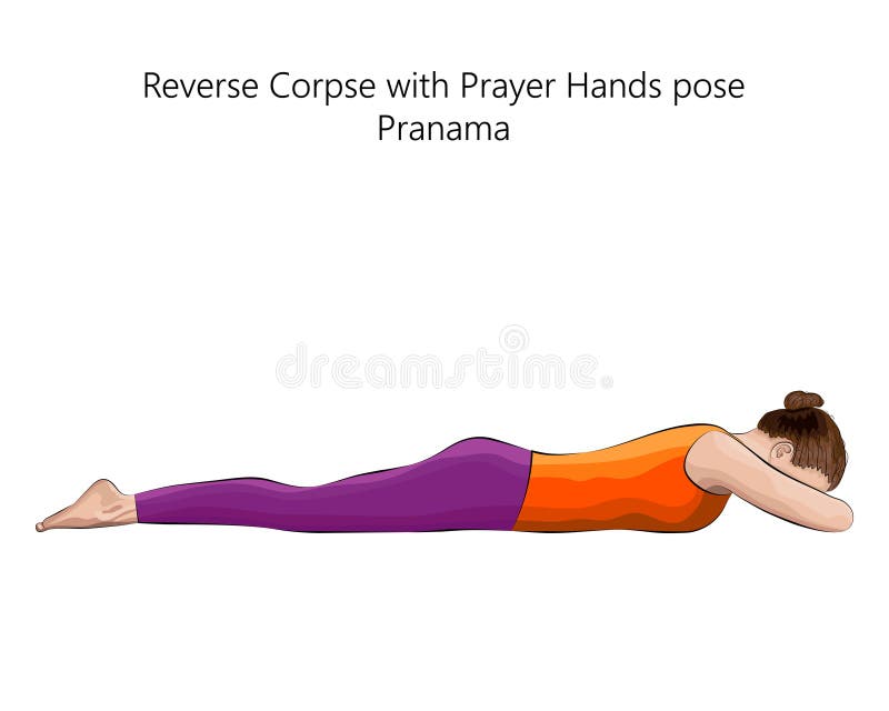 Pranama Stock Illustrations – 4 Pranama Stock Illustrations, Vectors ...