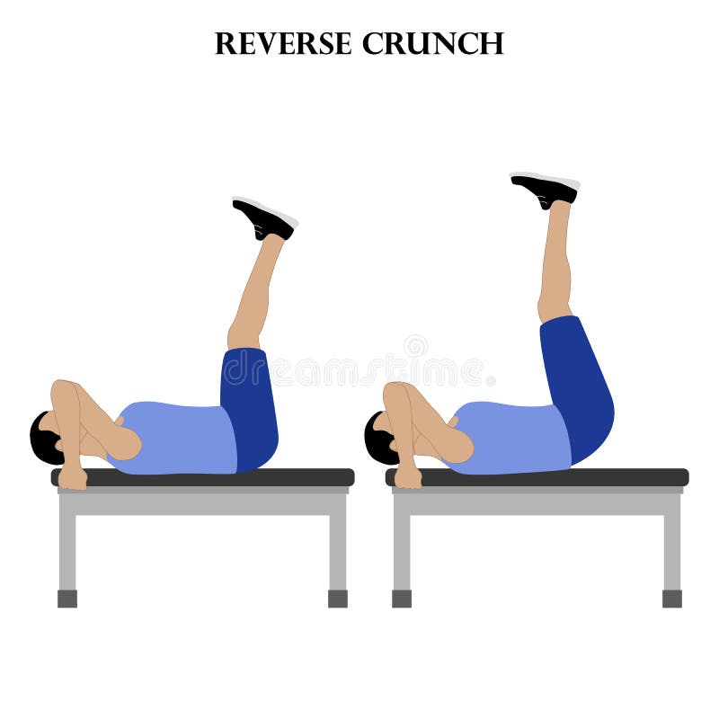 Crunch Bench Stock Illustrations – 123 Crunch Bench Stock Illustrations ...