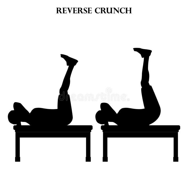 Crunch Bench Stock Illustrations – 123 Crunch Bench Stock Illustrations ...